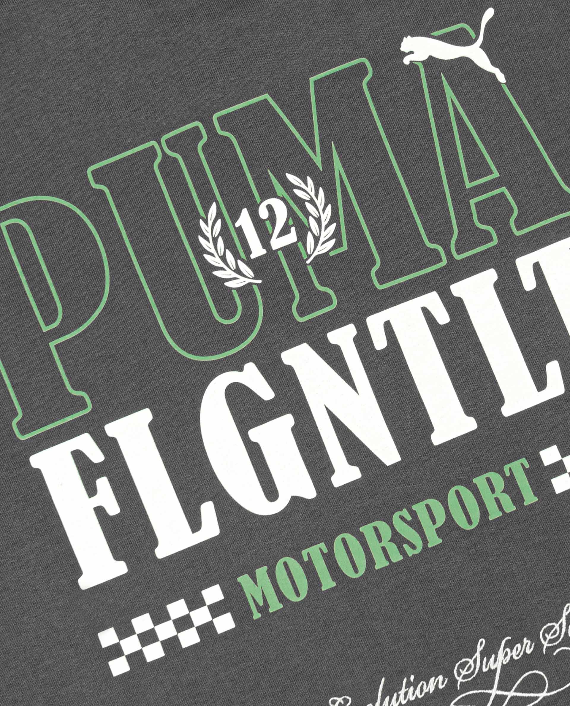 PUMA & FLGNTLT ASPHALT HOODIE – FLGNTLT Shop